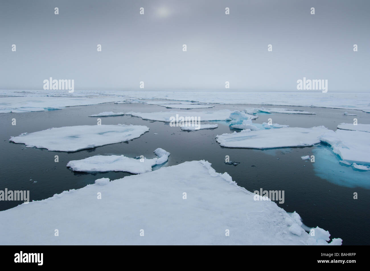 Northern Svalbard landscapes approaching the north pole Ice pack Stock ...