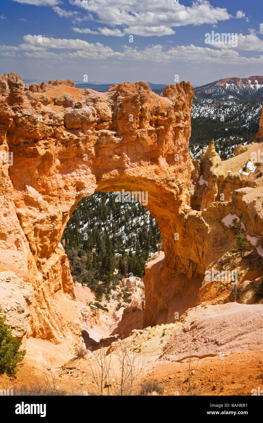 Natural Bridge formation in Bryce Canyon National Park Stock Photo - Alamy