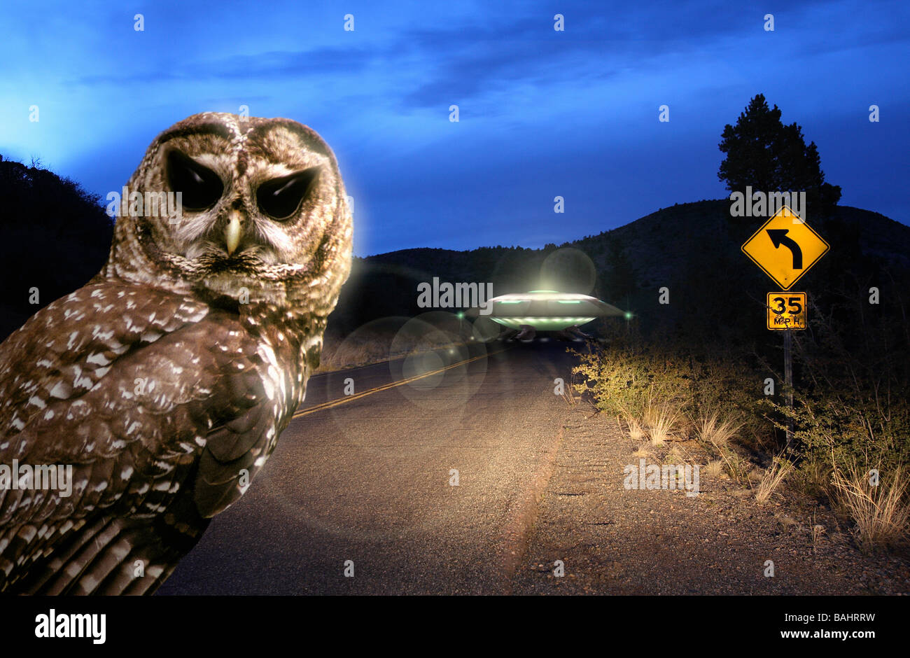 Landed UFO sighting with owl on rural back road Stock Photo - Alamy