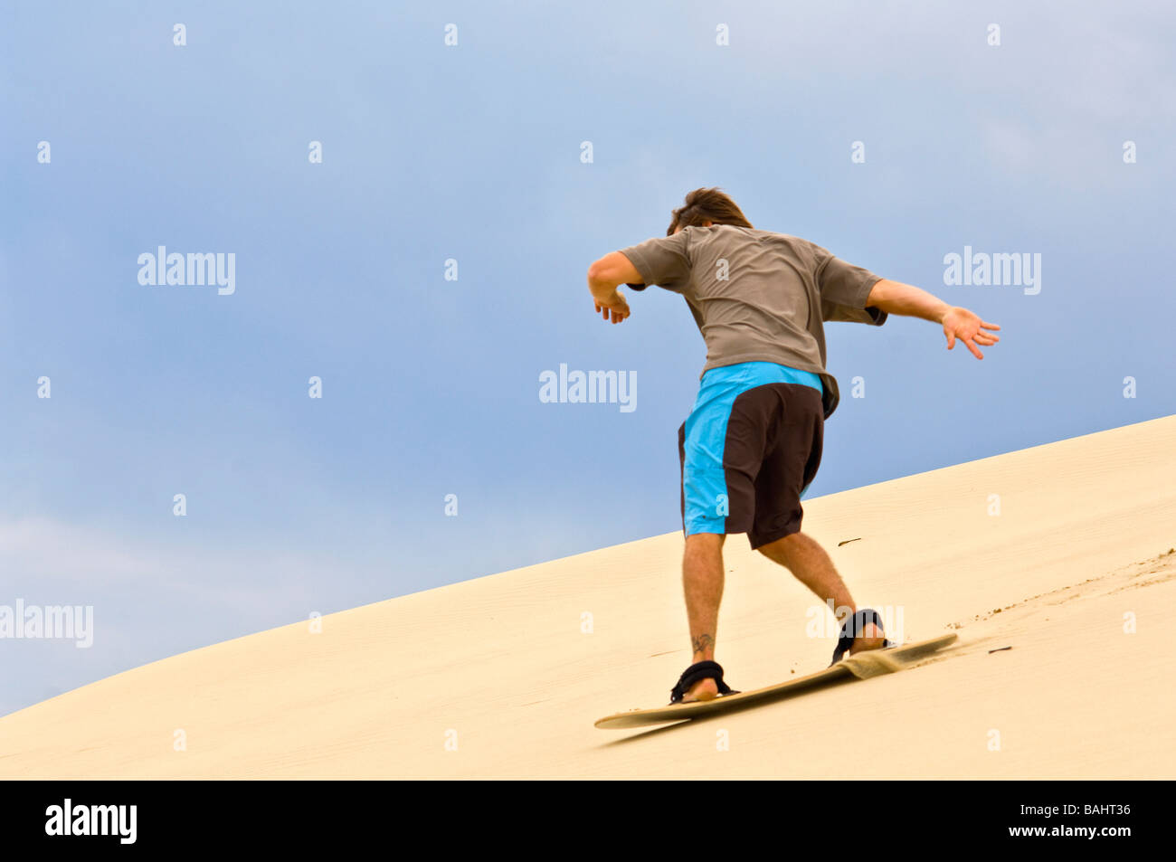 Sandboarding, Honeyman State Park, Oregon, USA Stock Photo - Alamy