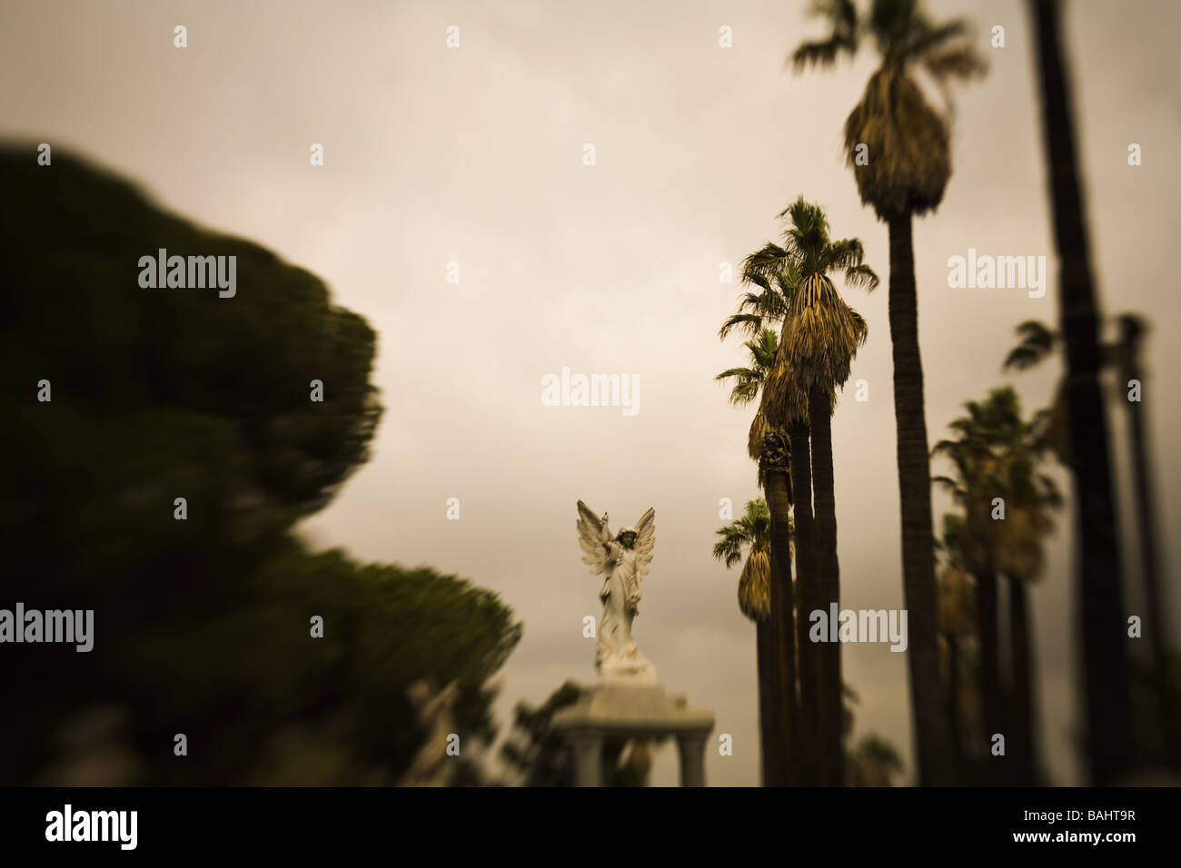 Angelus rosedale cemetery california hi-res stock photography and ...