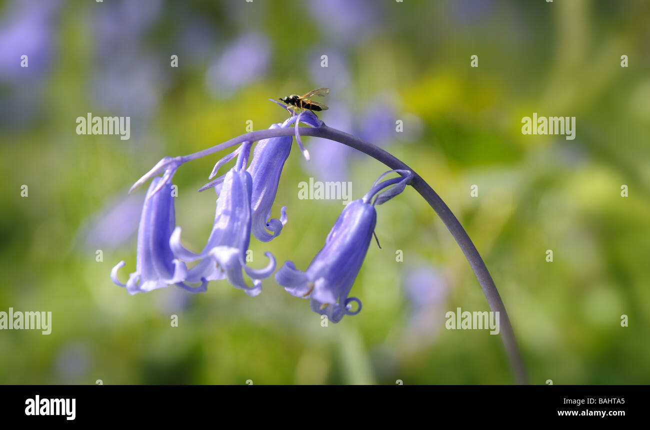 Teme valley hi-res stock photography and images - Alamy