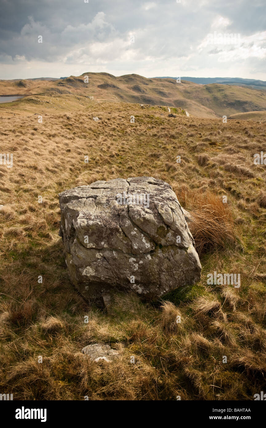 A rocky lichen covered glacial erratic boulder near Llyn Teifi Lake ...