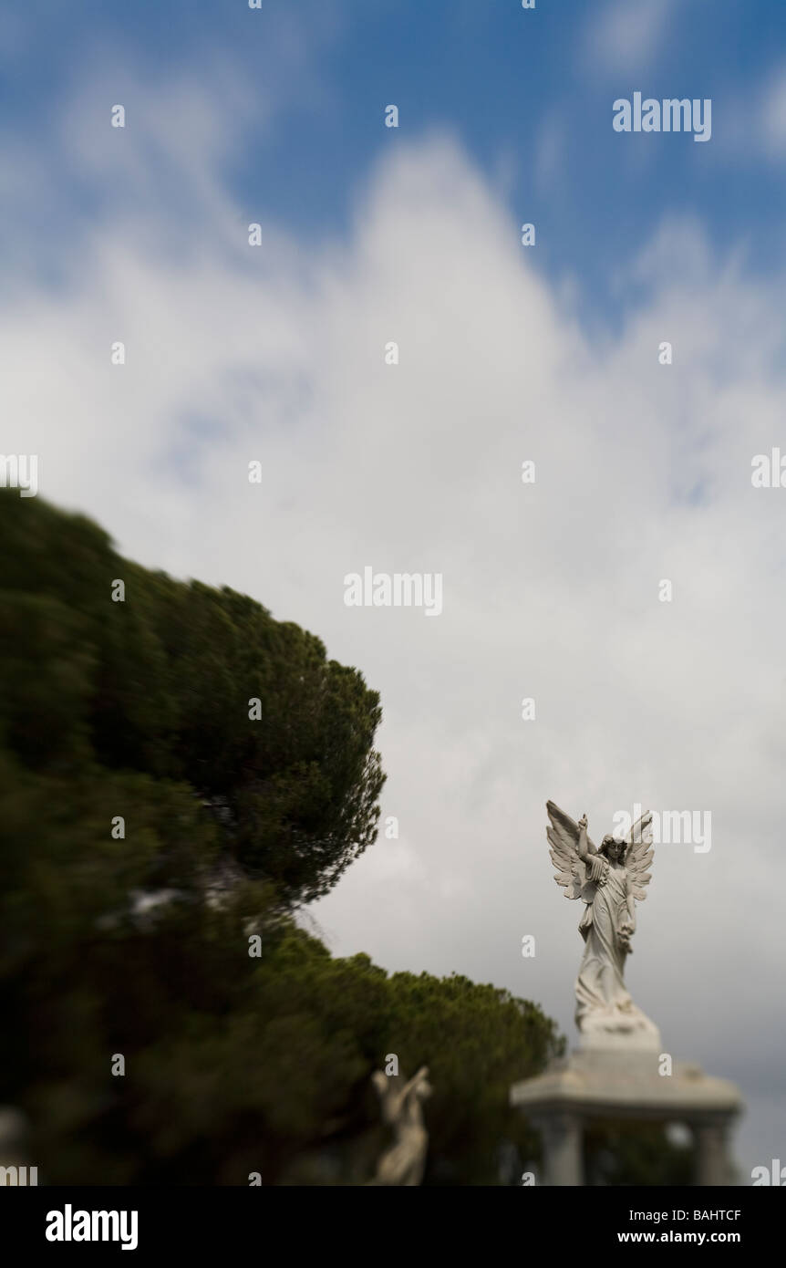 Angelus rosedale cemetery california hi-res stock photography and ...