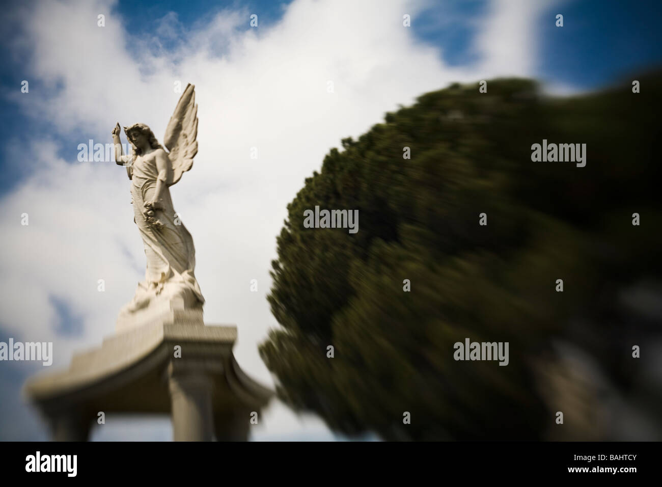 Angel Statue Angelus Rosedale Cemetery Los Angeles California United ...