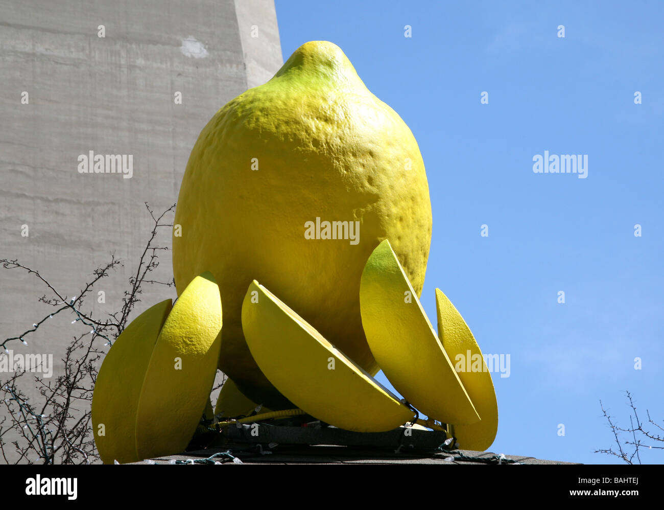 Large lemon sculpture, Toronto, Canada Stock Photo - Alamy