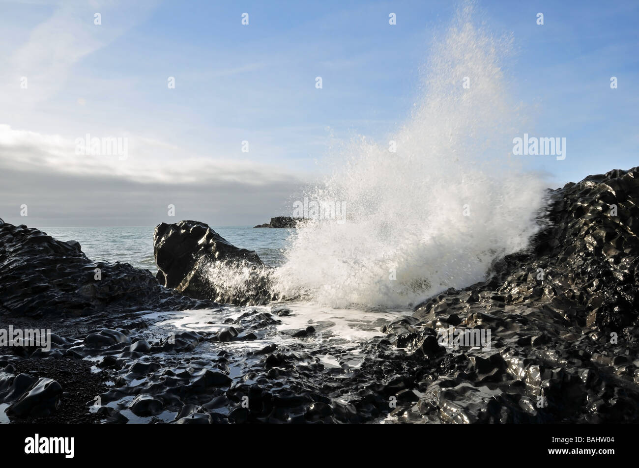 An Atlantic breaker erupting into foam against the shiny black basalt ...