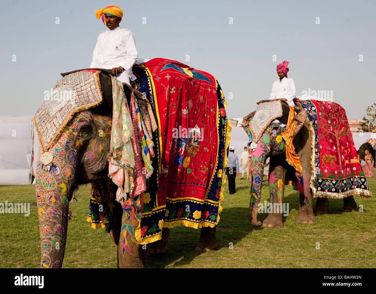 Animals of rajasthan hi-res stock photography and images - Alamy