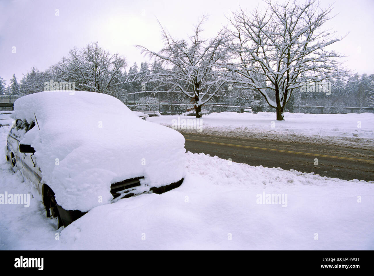 Cars buried in heavy snow hi-res stock photography and images - Alamy