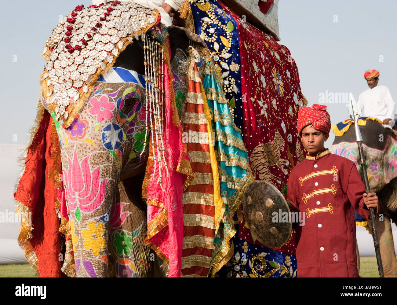 Animals of rajasthan hi-res stock photography and images - Alamy