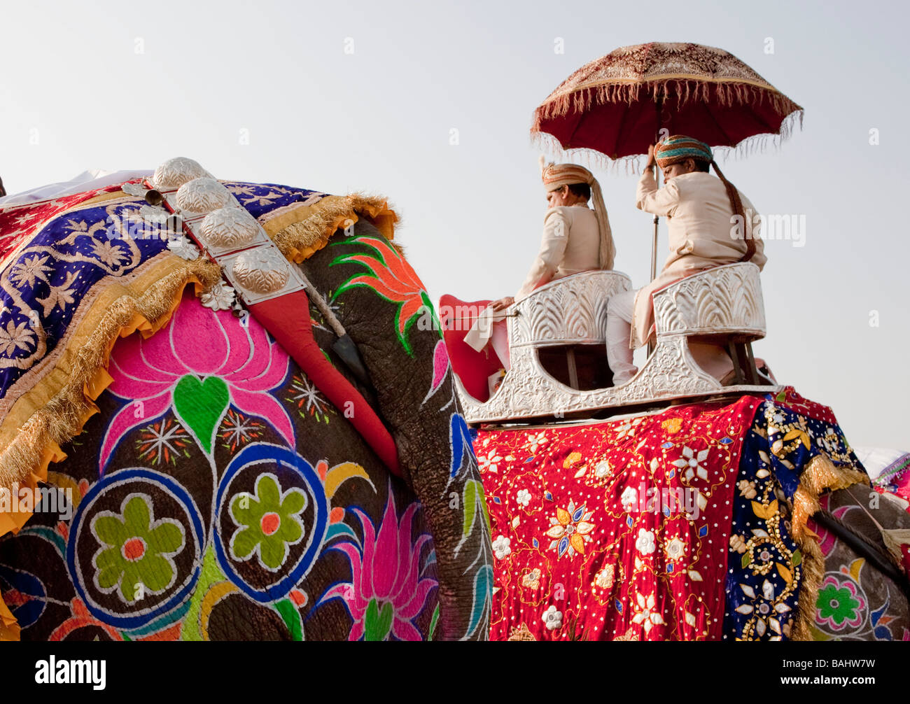 India elephants festival hi-res stock photography and images - Alamy
