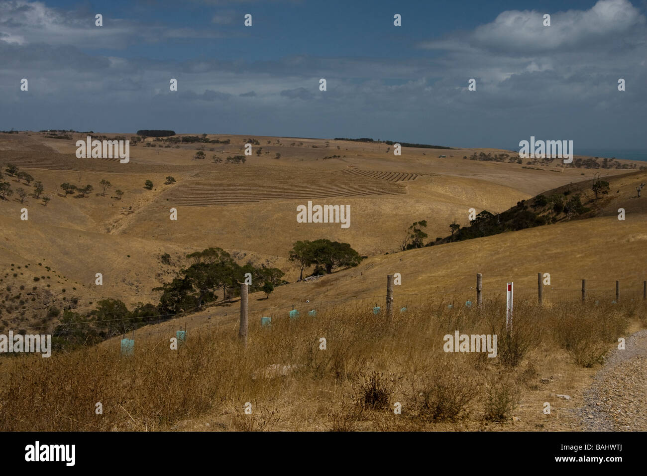 Myponga Beach High Resolution Stock Photography and Images - Alamy
