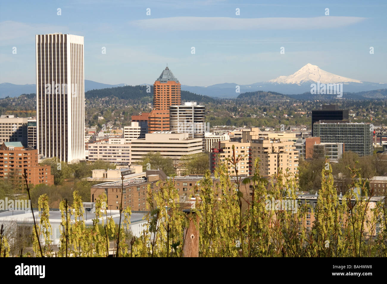 The Landmarks of Mt Hood and Portland Oregon seen from the hilltop in ...