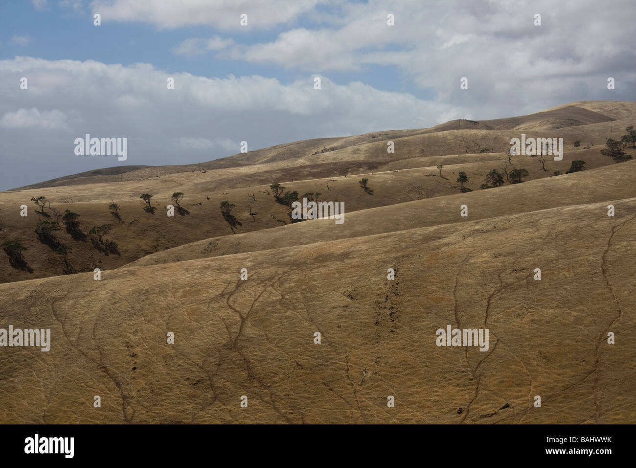 Myponga south australia hi-res stock photography and images - Alamy