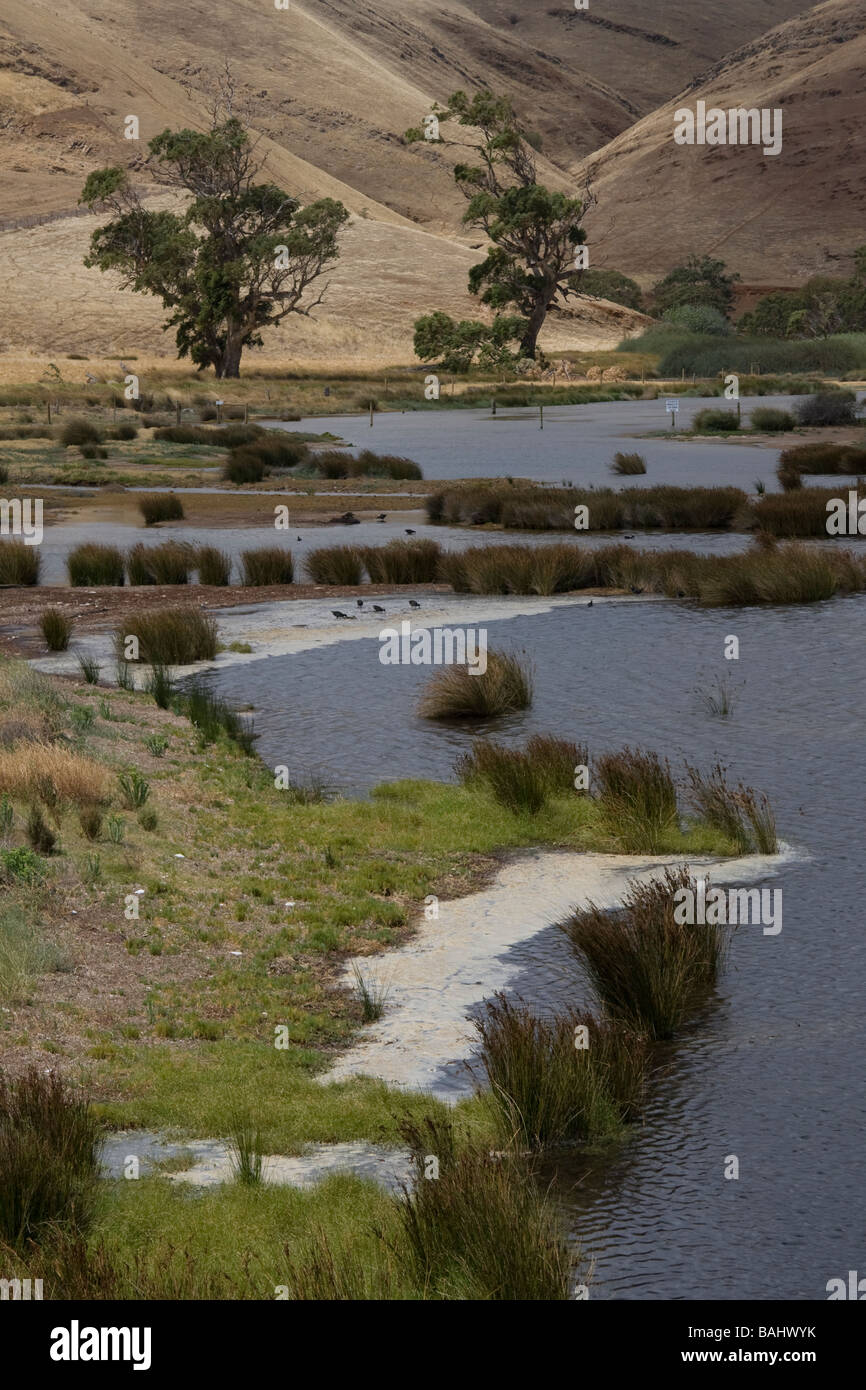 Myponga beach hi-res stock photography and images - Alamy