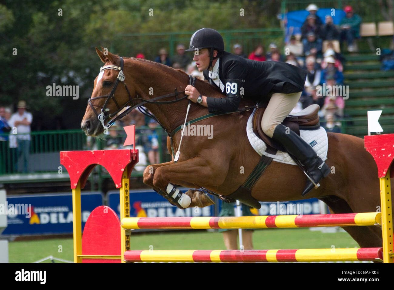 Rider and horse competing in showjumping event during competition in ...