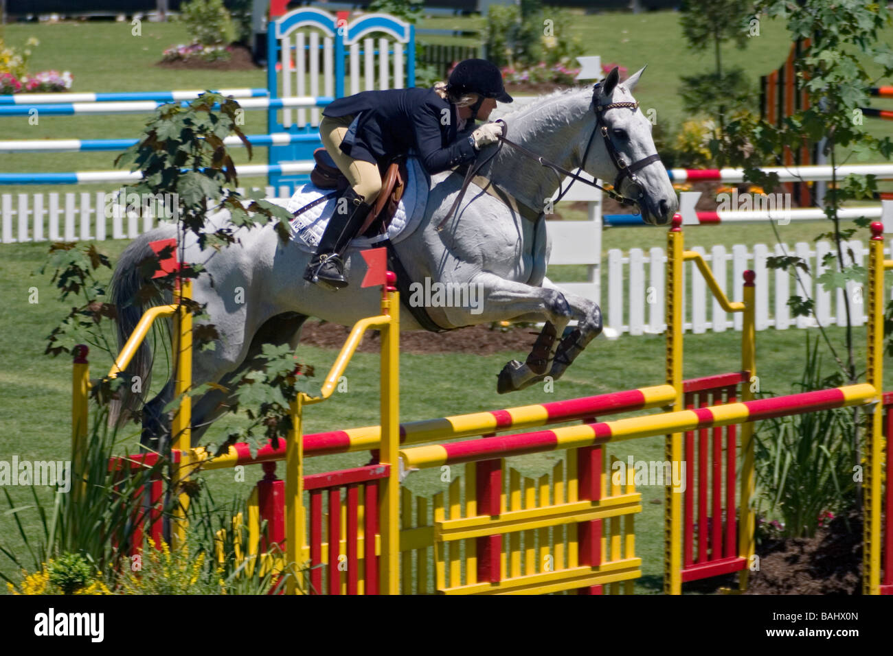 Rider and horse competing in showjumping event during competition in ...