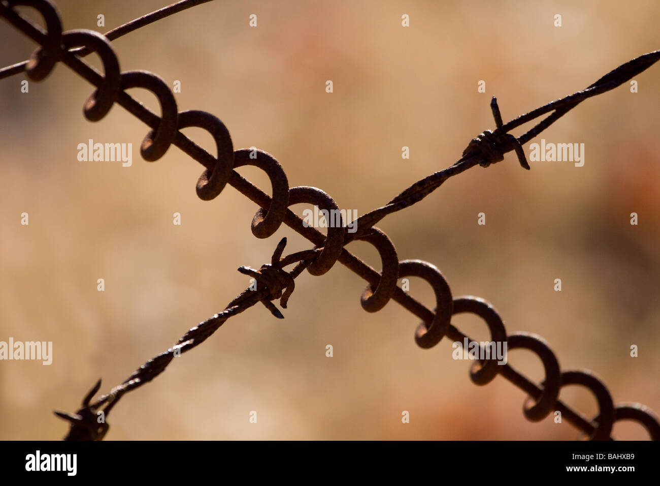 Rusted wire hi-res stock photography and images - Alamy