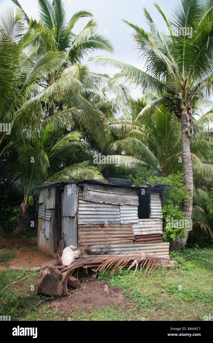 Tin hut in village with palm trees Stock Photo - Alamy