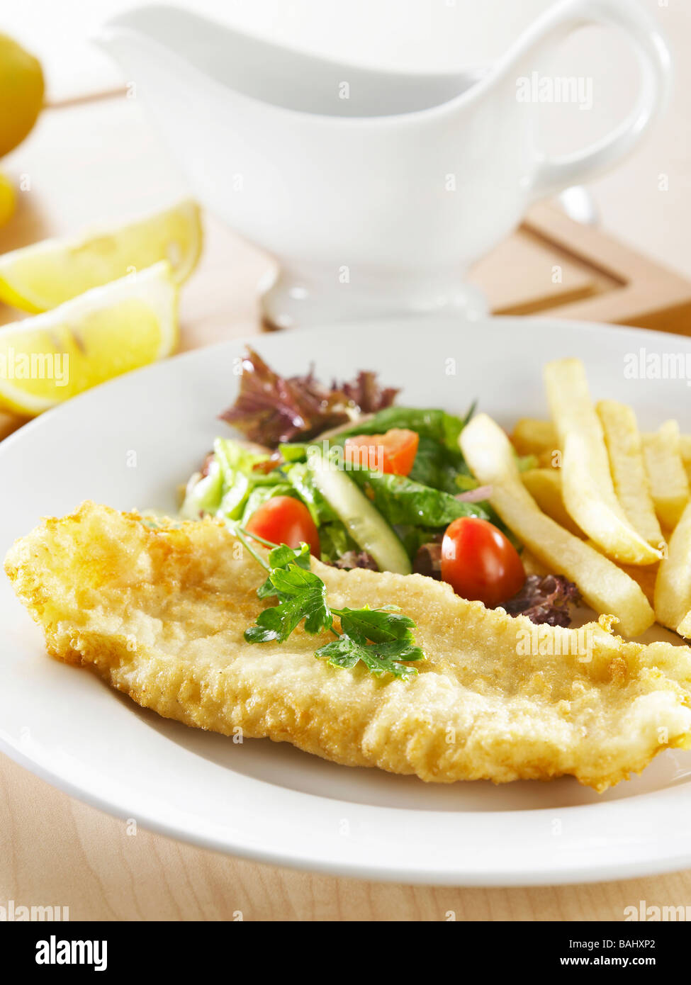 British dogfish hi-res stock photography and images - Alamy