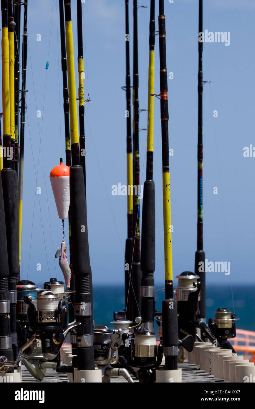 Fish clutch hi-res stock photography and images - Alamy