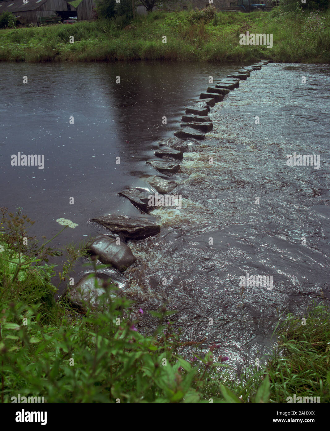 Stepping stones leading across a river Stock Photo - Alamy
