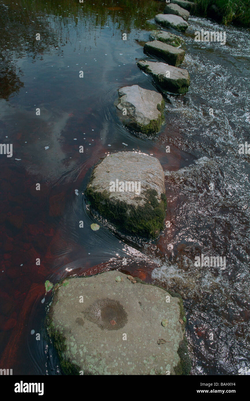 Stepping stones leading across a river Stock Photo - Alamy