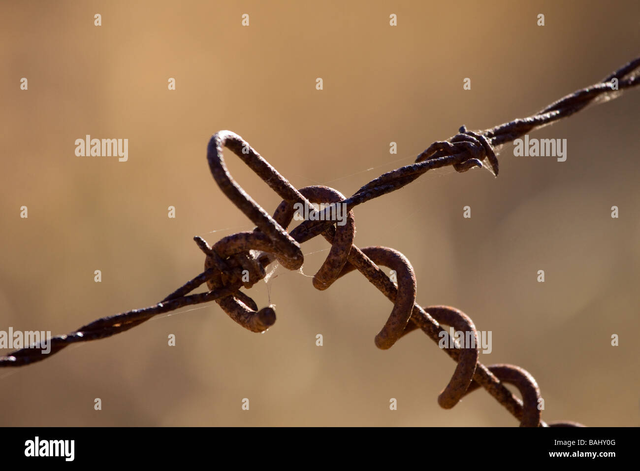 Rusted wire hi-res stock photography and images - Alamy