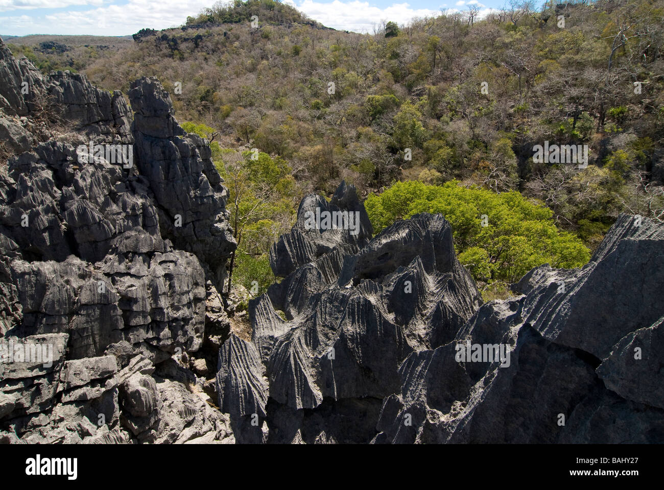 Extraordinary rock formations tsingys Ankarana National park Madagascar ...