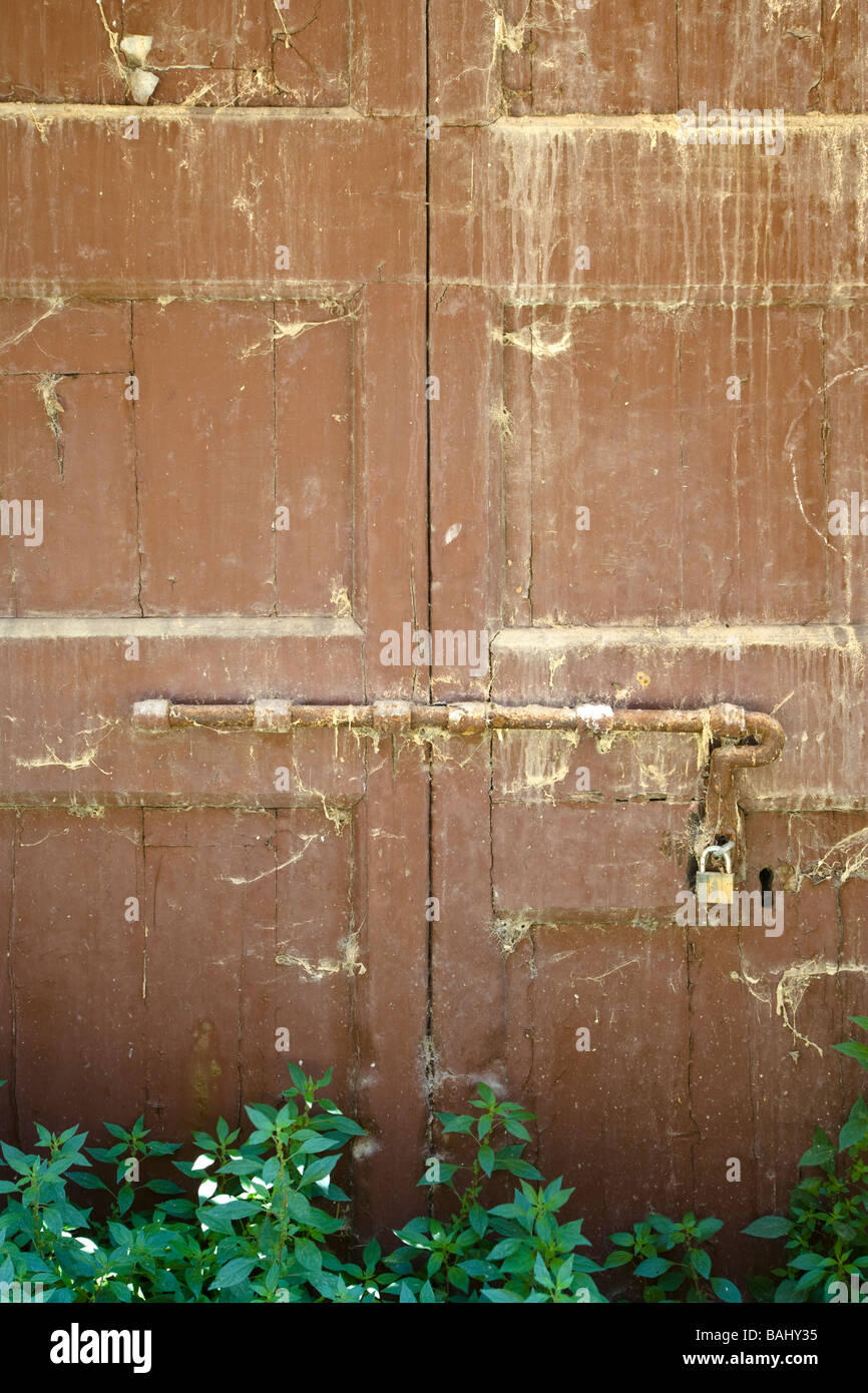 Linari hi-res stock photography and images - Alamy