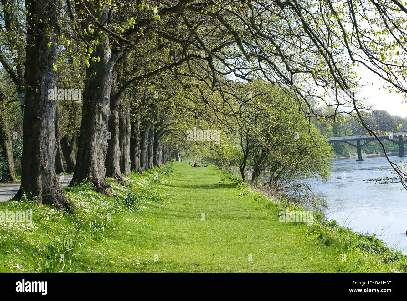 Lining the river hi-res stock photography and images - Alamy
