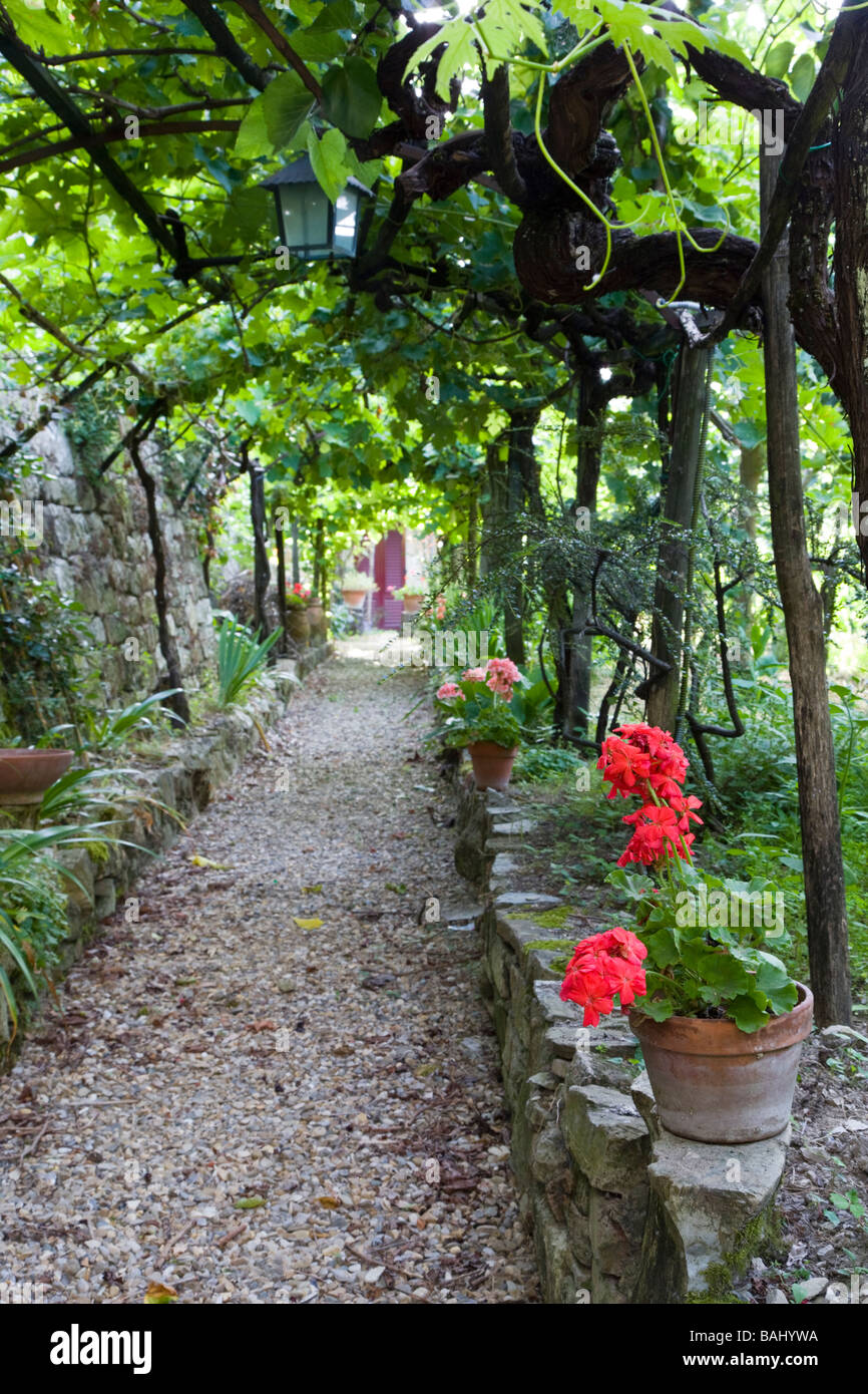 Vine shaded & flower lined garden pathway in Montefioralle, Chianti ...