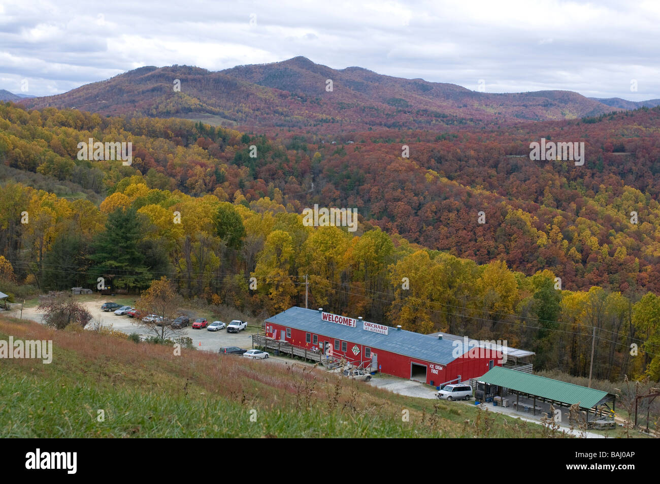 Restaurant in the Blue Ridge Mountains with deciduous forest Virginia ...