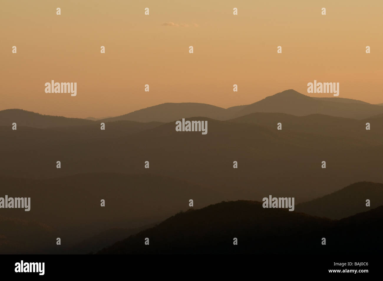 Blue Ridge Mountains with deciduous forest Virginia United States of ...