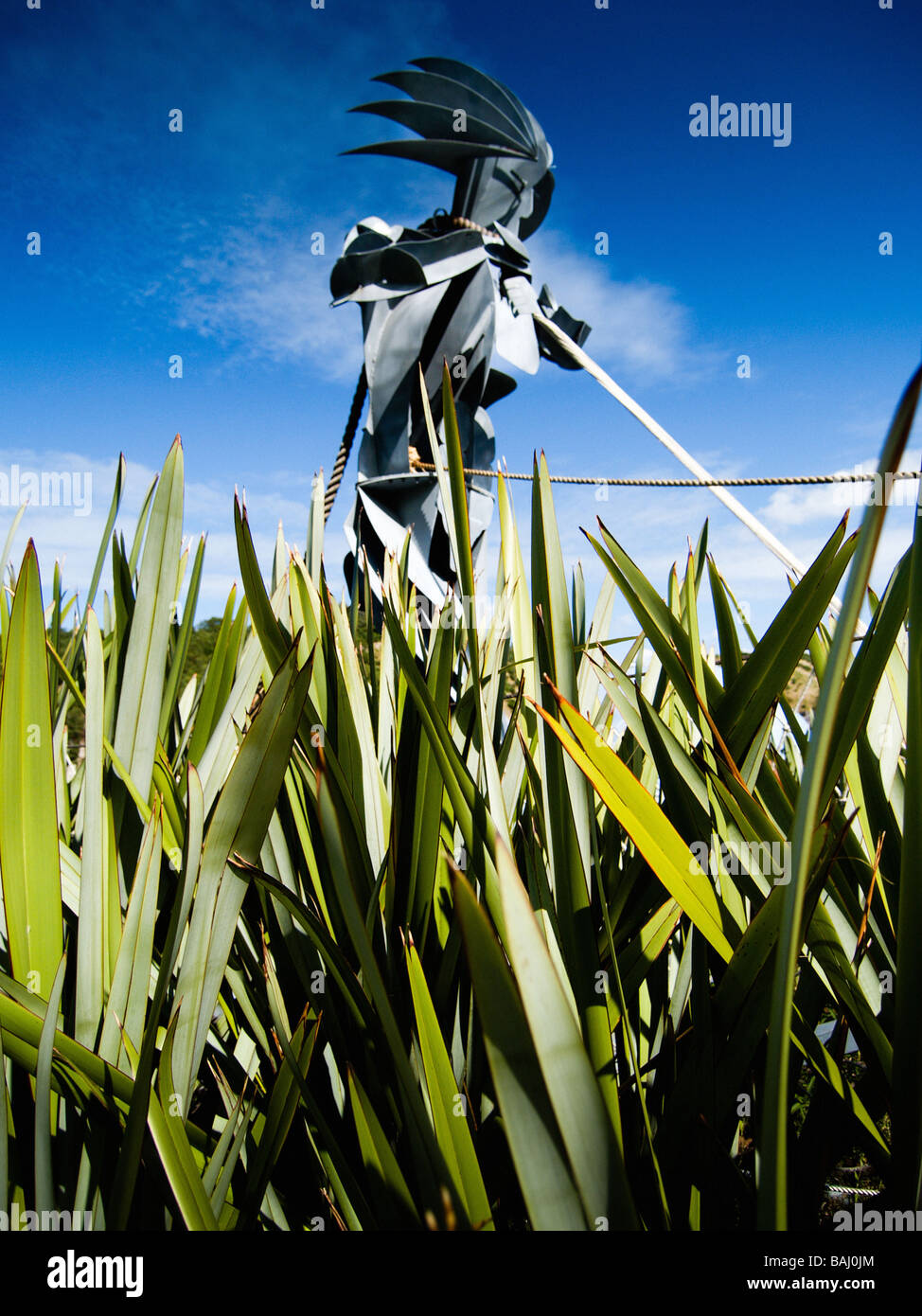 Tim shaw hi-res stock photography and images - Alamy