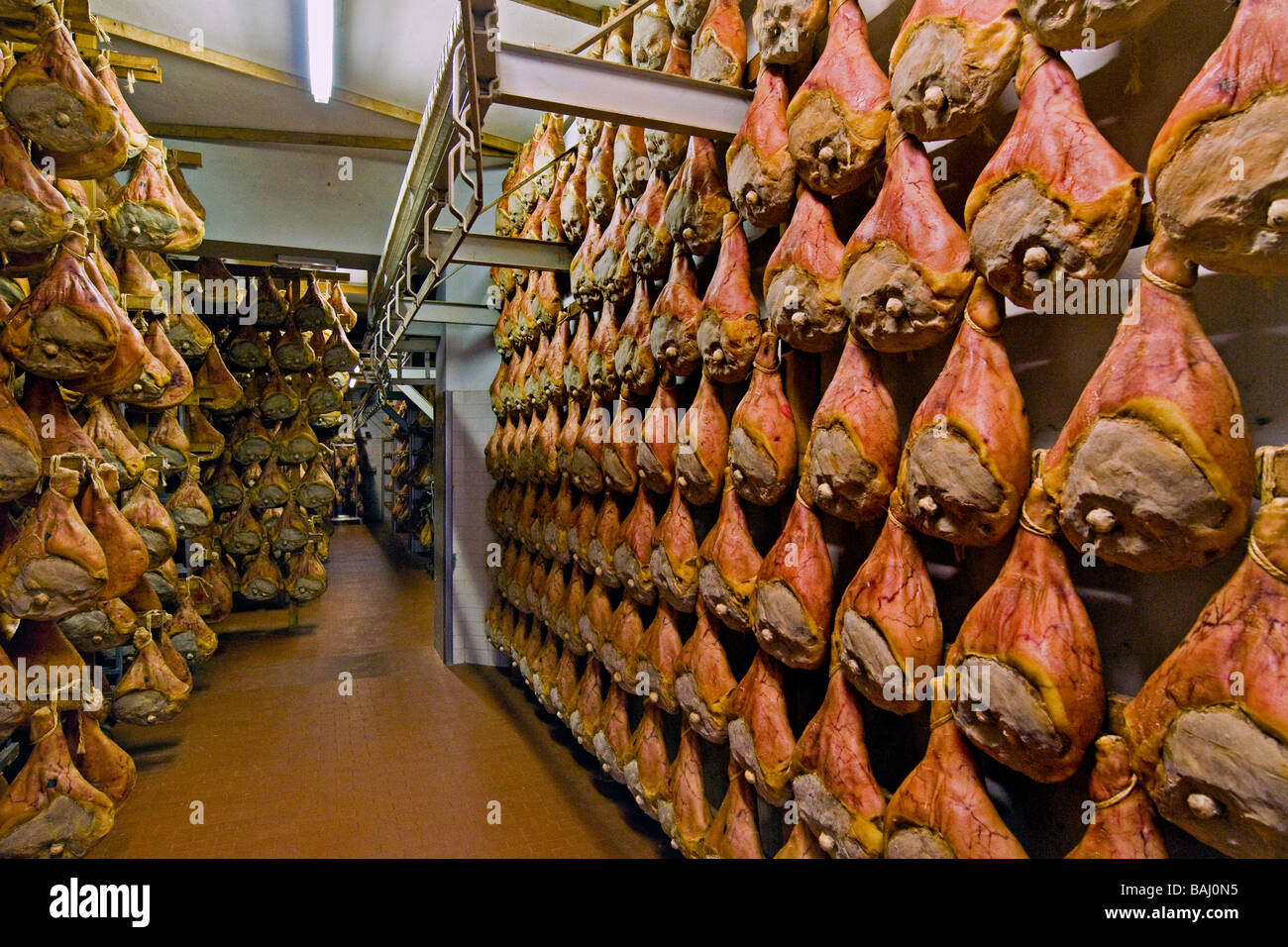 Ham of Modena Italian ham factory by Nini Gianfranco Savignano sul ...