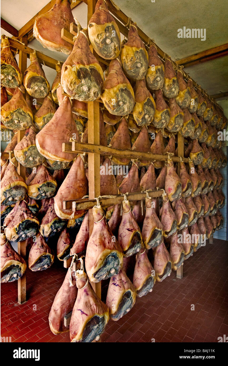 Ham of Modena Italian ham factory by Nini Gianfranco Savignano sul ...