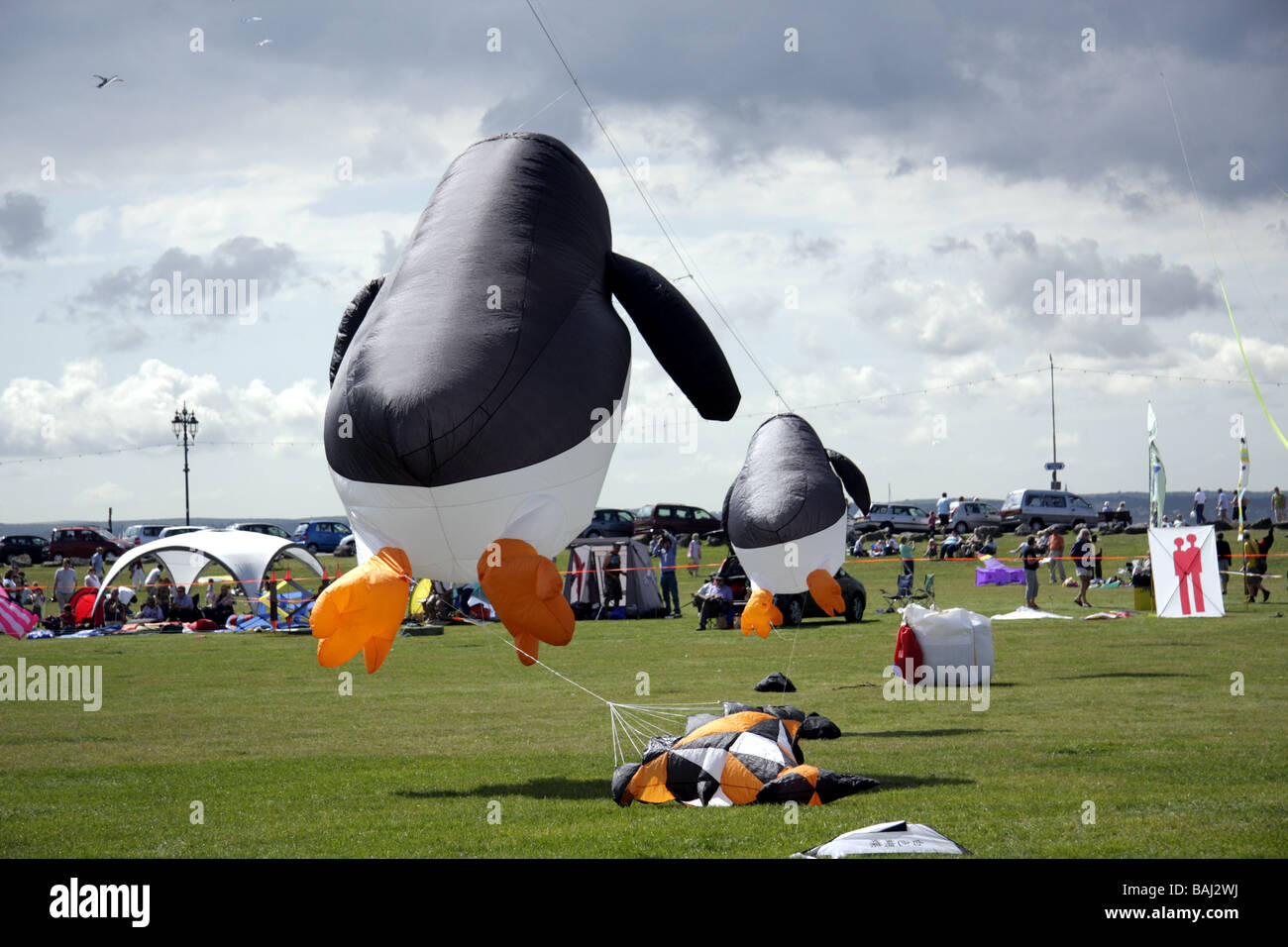 Penguin shaped kites flying at the August 2008 Portsmouth Kite Festival ...