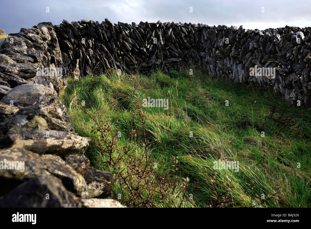Stone Wall Ireland Stock Photo - Alamy
