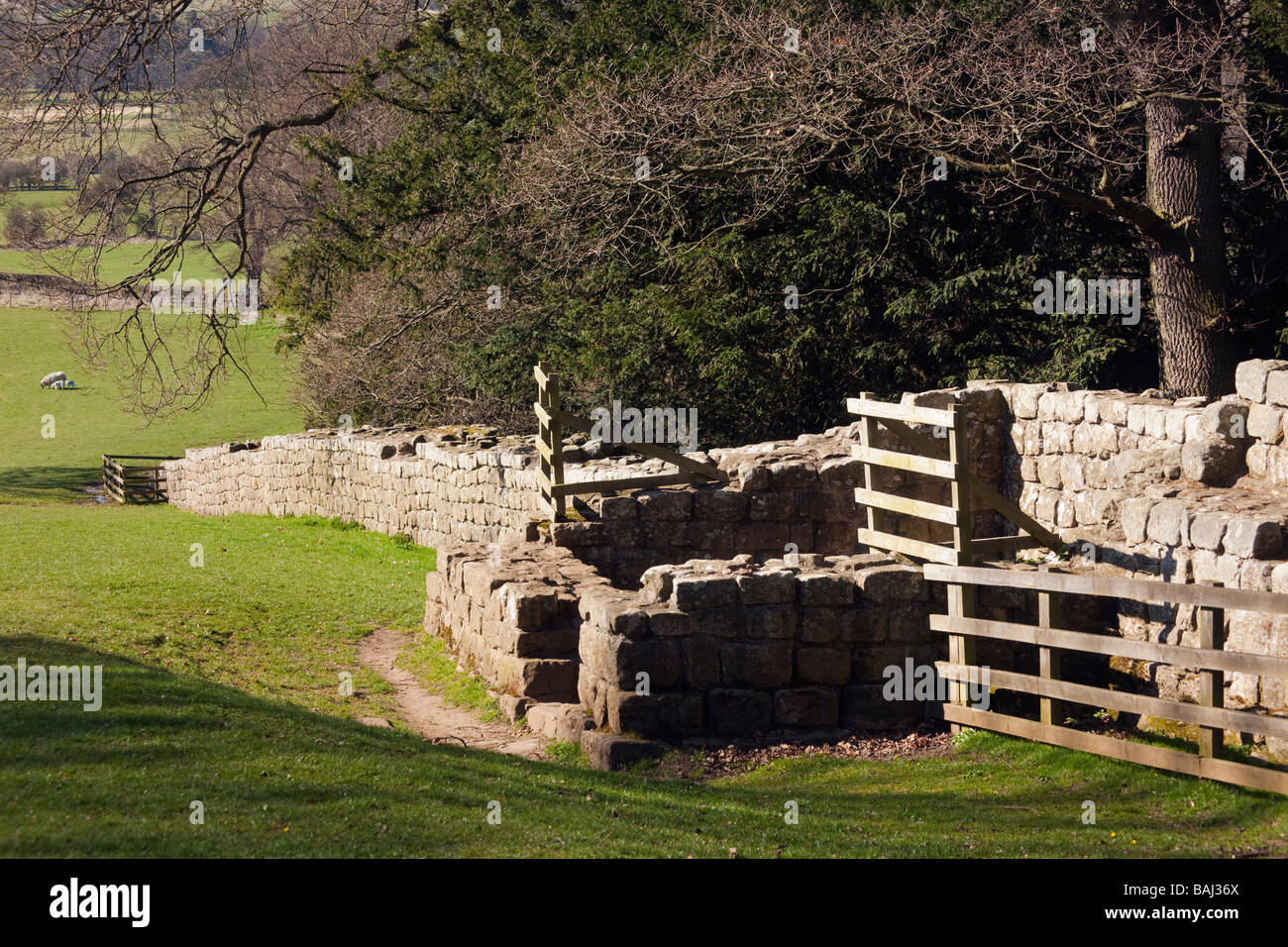 Chollerford Northumberland England UK Brunton Turret Roman ruins one of ...
