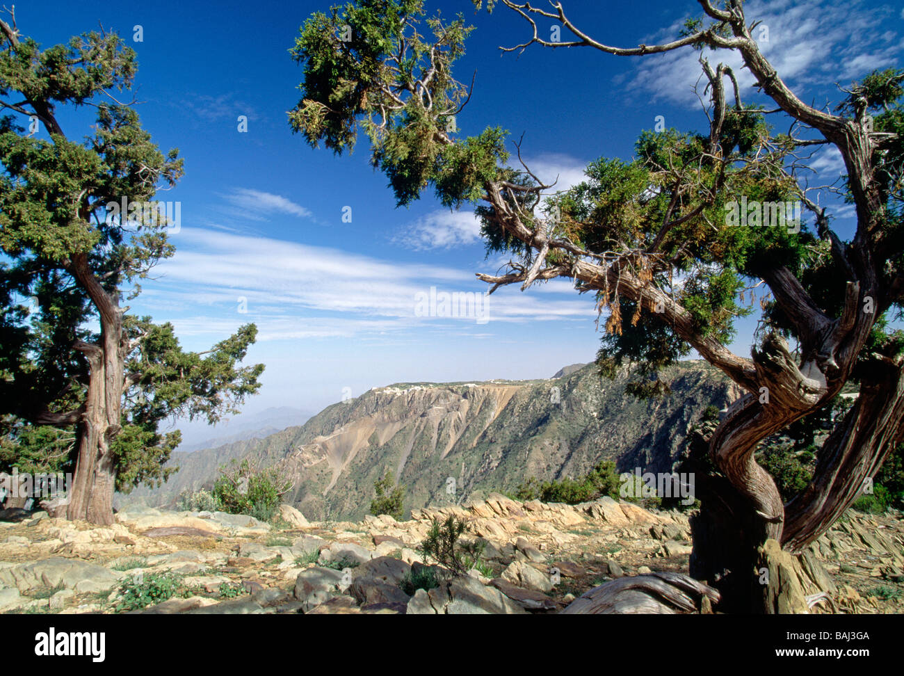 Asir national park hi-res stock photography and images - Alamy