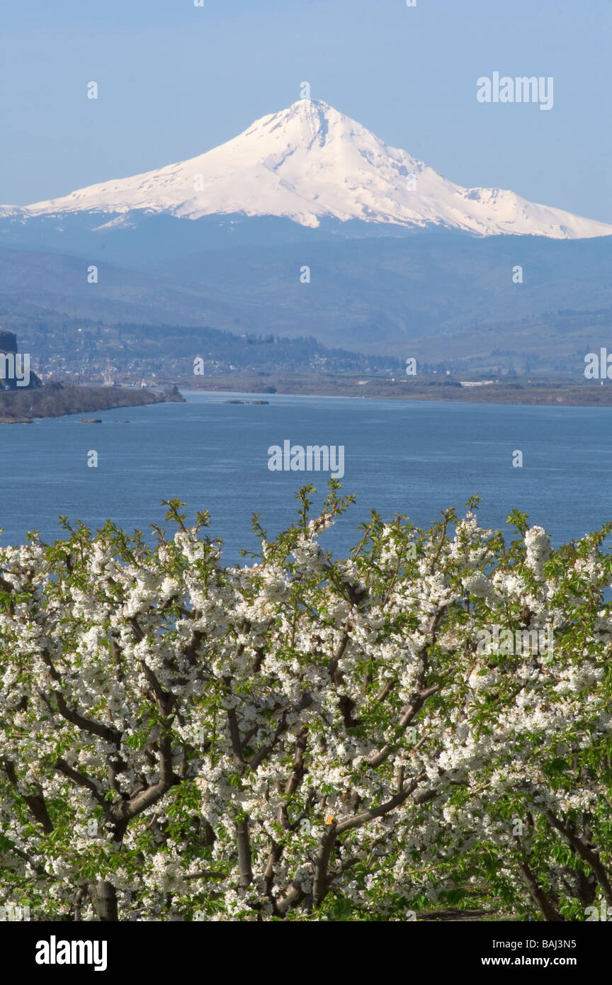 Apple trees near mountain hi-res stock photography and images - Alamy