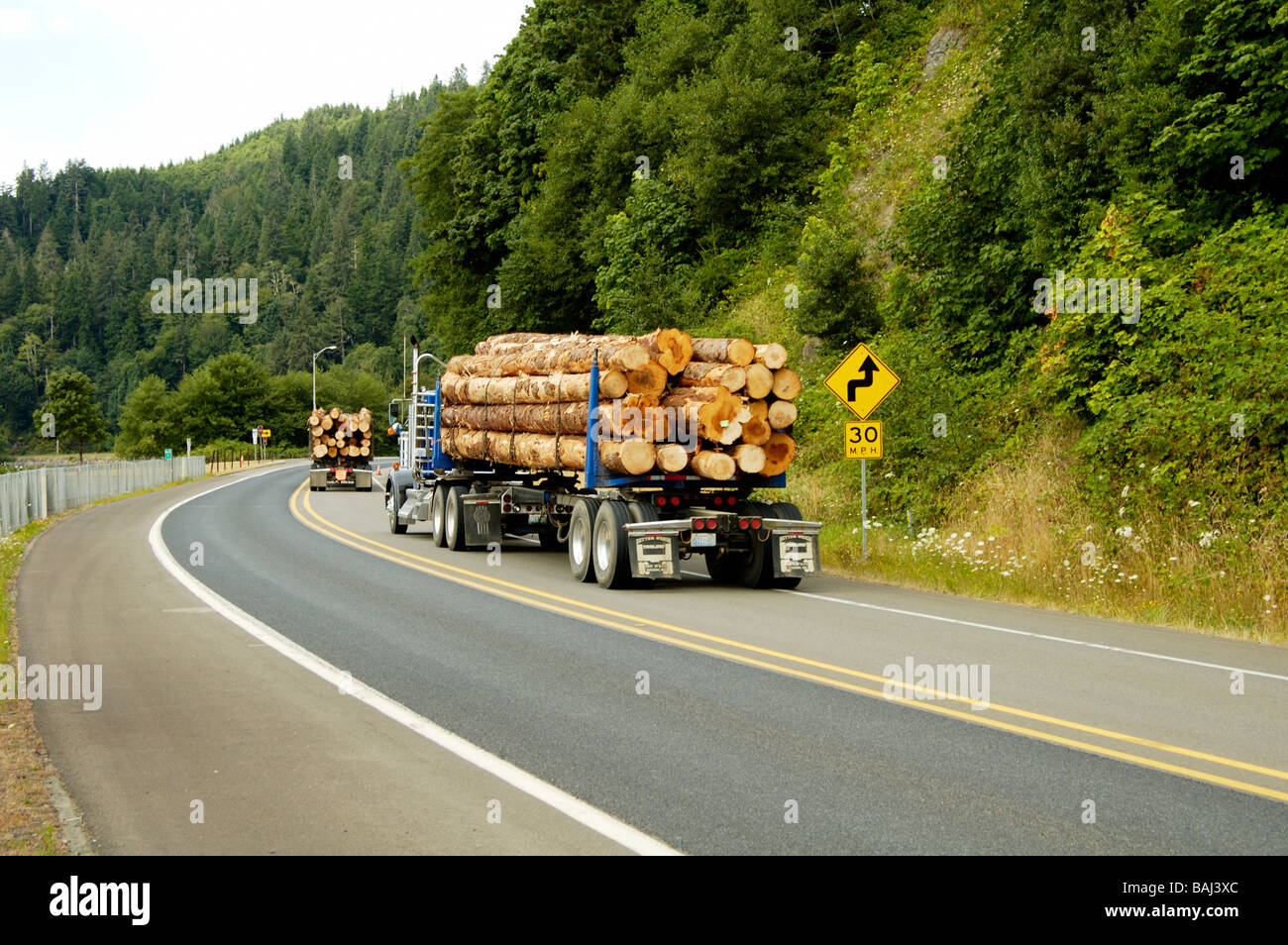 A load of logs being transported to the sawmill Stock Photo - Alamy