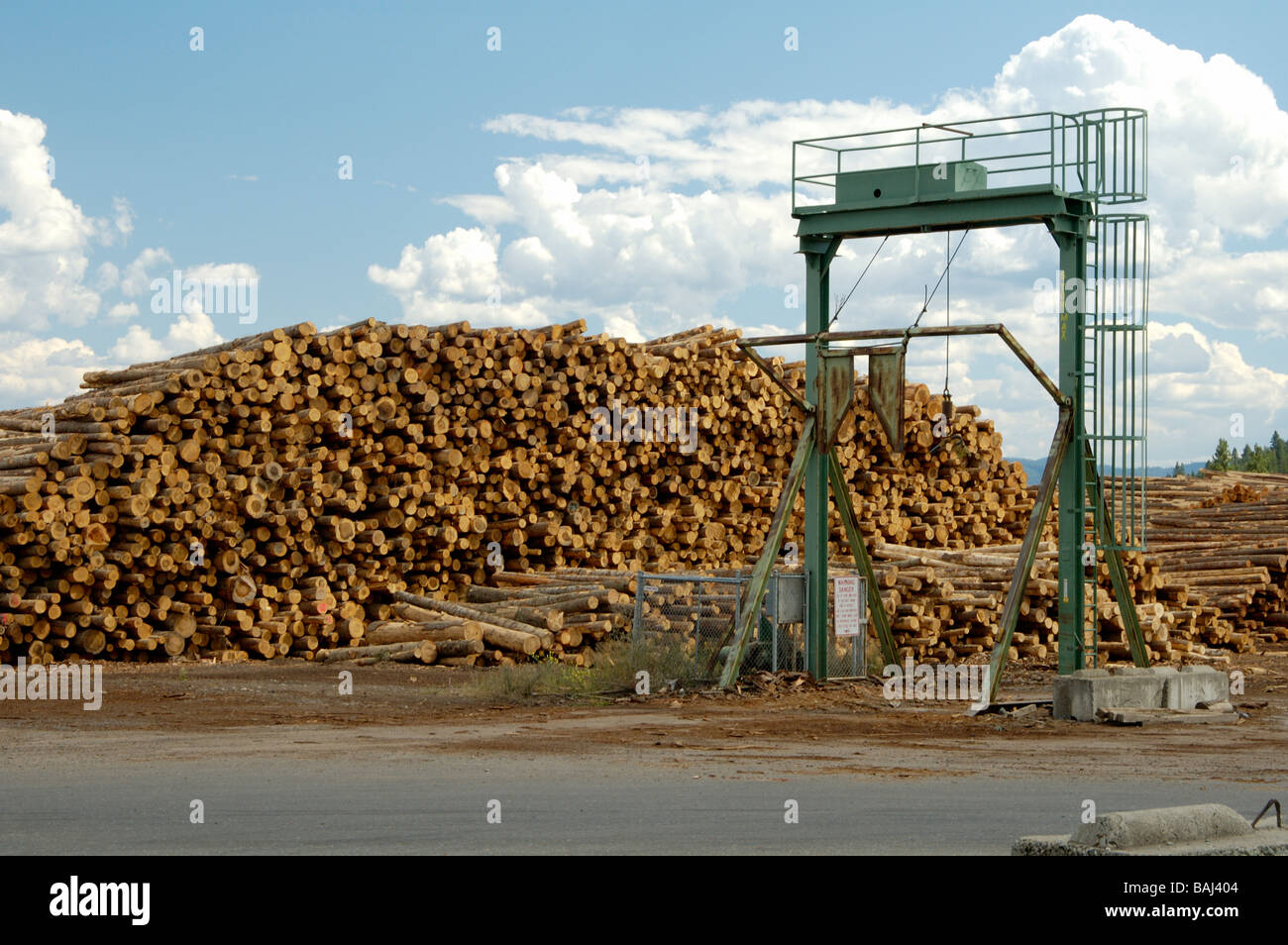 Lumber being processed at a forest products sawmill Stock Photo - Alamy
