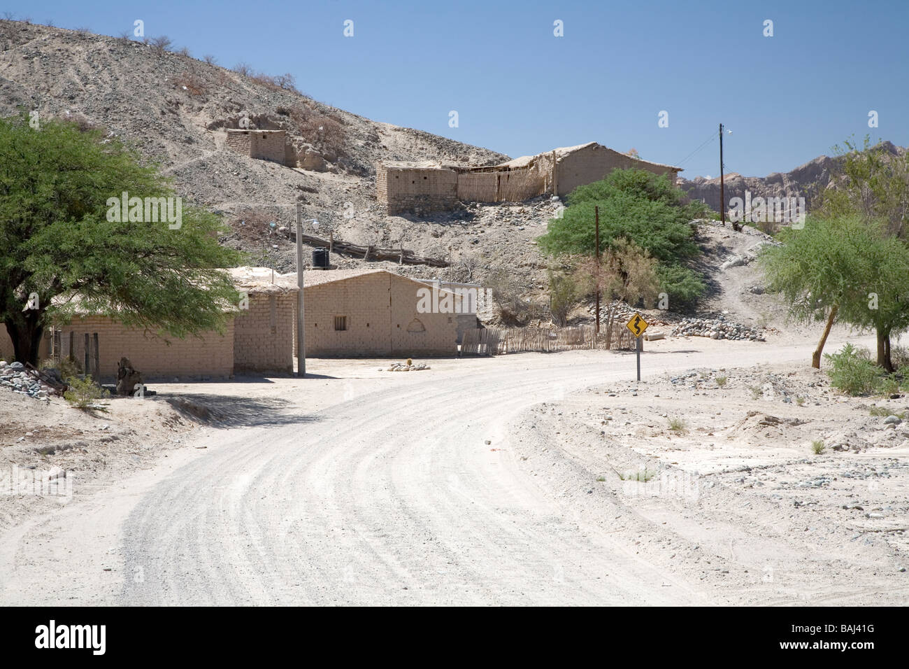 Rosa argentina hi-res stock photography and images - Alamy