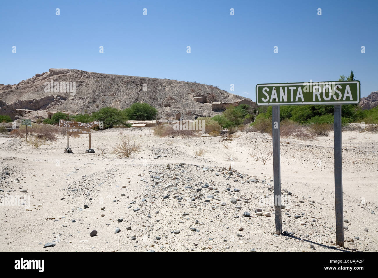 Rosa argentina hi-res stock photography and images - Alamy