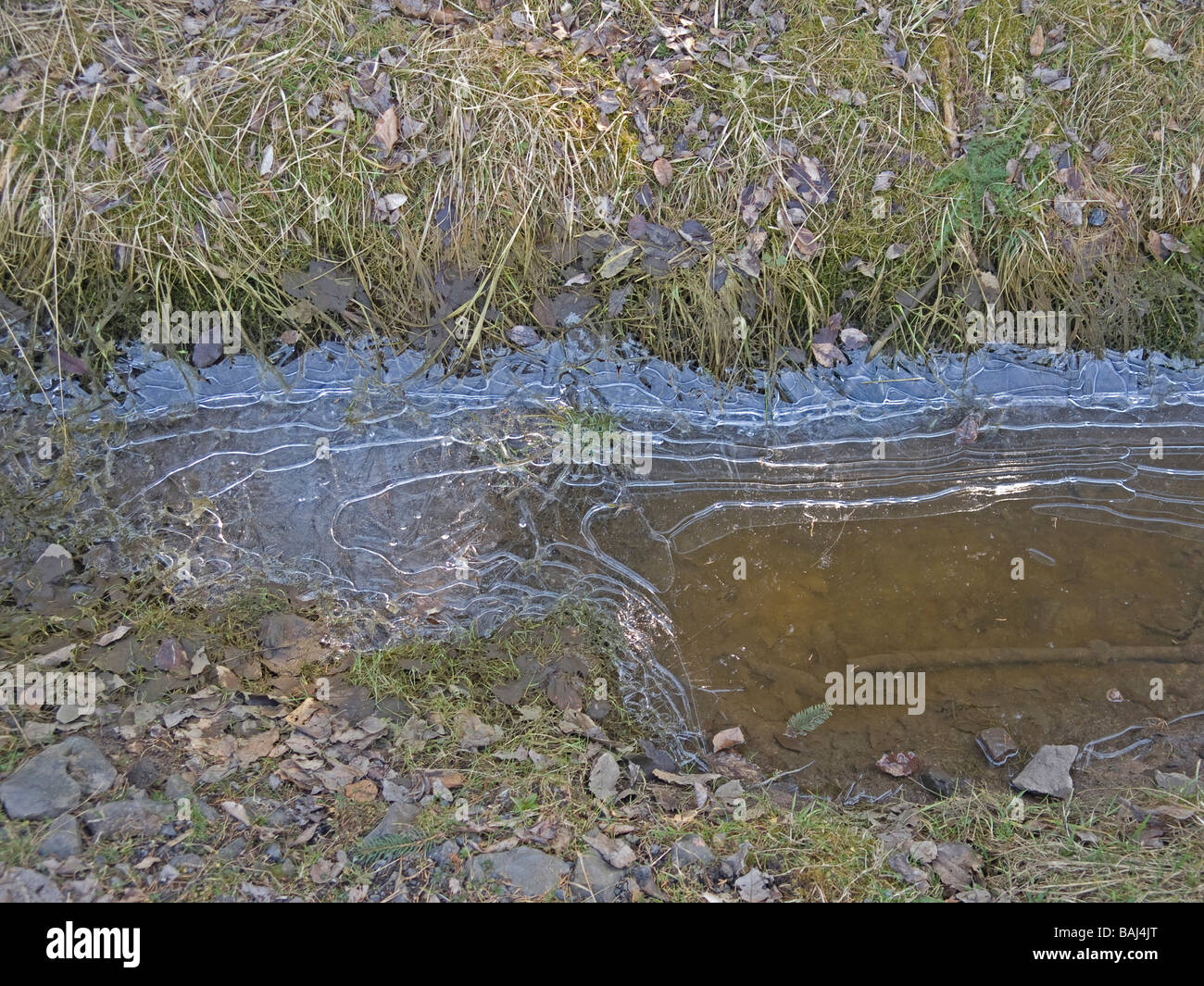 Iced puddle hi-res stock photography and images - Alamy