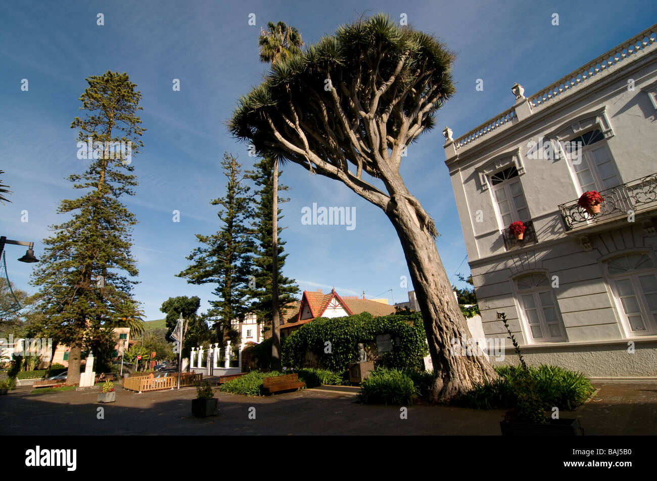 Colonial building in La Laguna Unesco World heritage sight Teneriffa ...