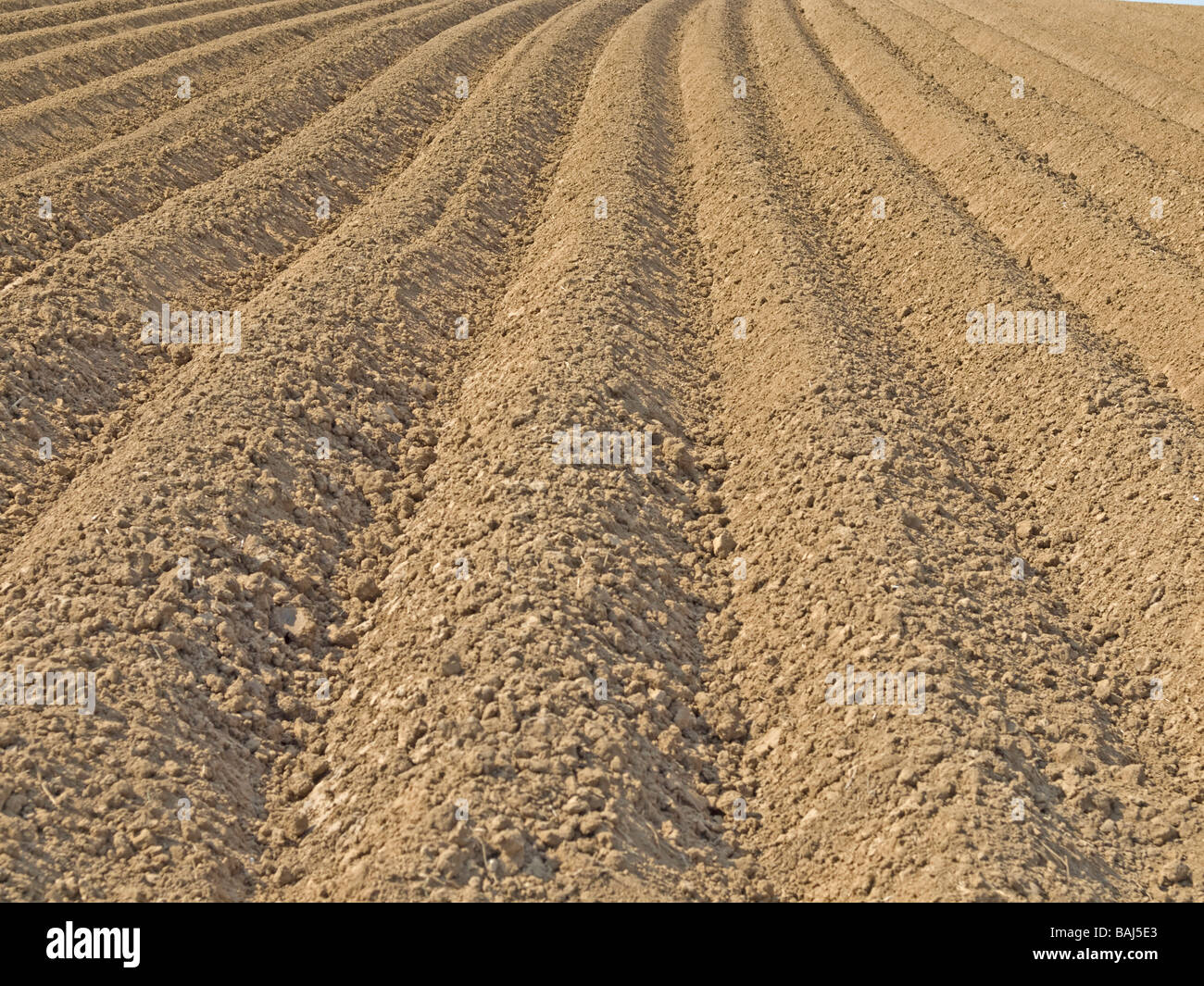 Field of earth hi-res stock photography and images - Alamy