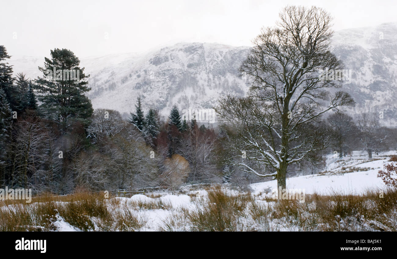 Countryside in winter Stock Photo - Alamy